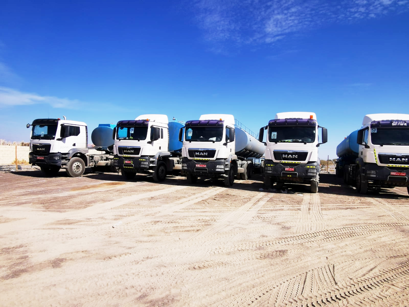 واحة البادية الخضراء للتجارة